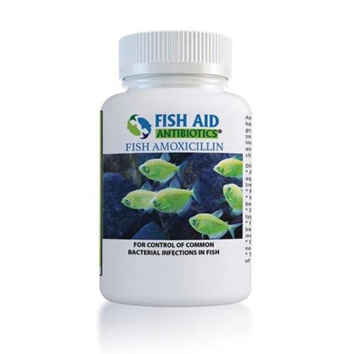 Fish Mox 500mg - 100 count – Fish Vet Supply