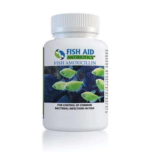 Fish Mox 500mg - 100 count – Fish Vet Supply