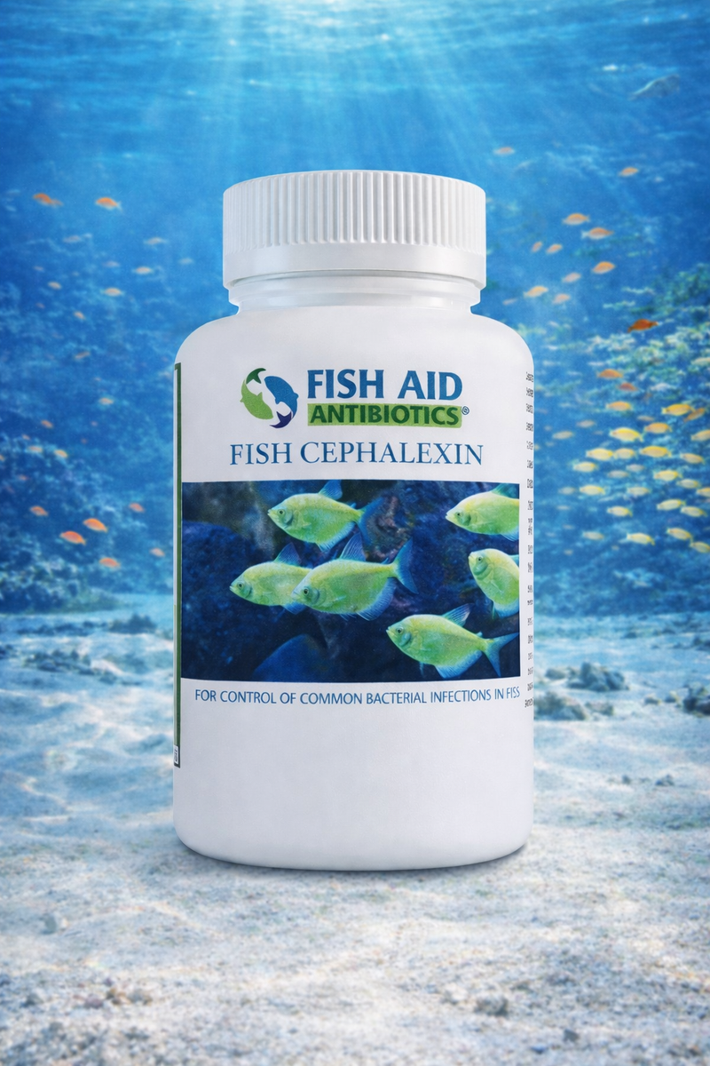 Fish Ceph 250mg 100-Capsules – Fish Vet Supply