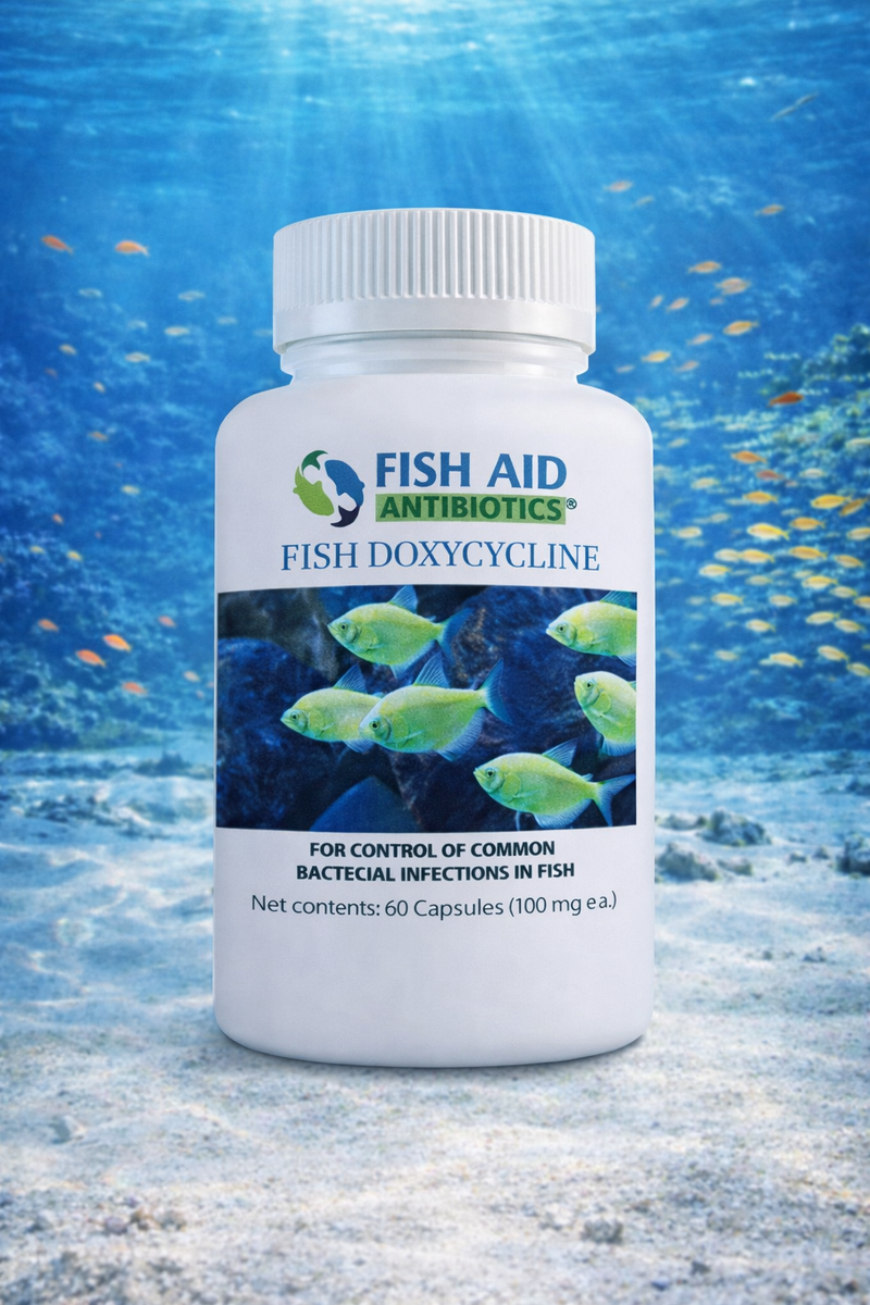 Fish Dox 100mg 60-Tablets – Fish Vet Supply